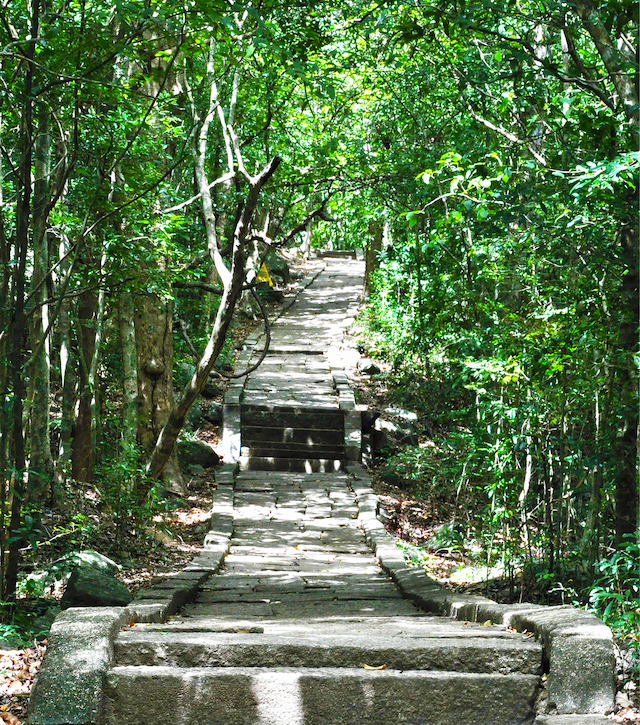 Ritigala Forest Monastery - Anuradhapura | Discover Sri Lanka